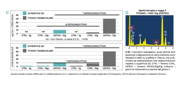 Bone Blast Technology Evolution - MT ORTHO